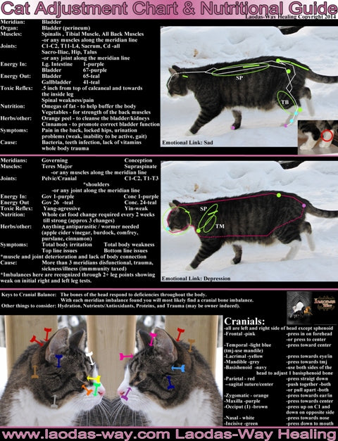 CANINE / FELINE CHART – Laodas-Way Healing Store